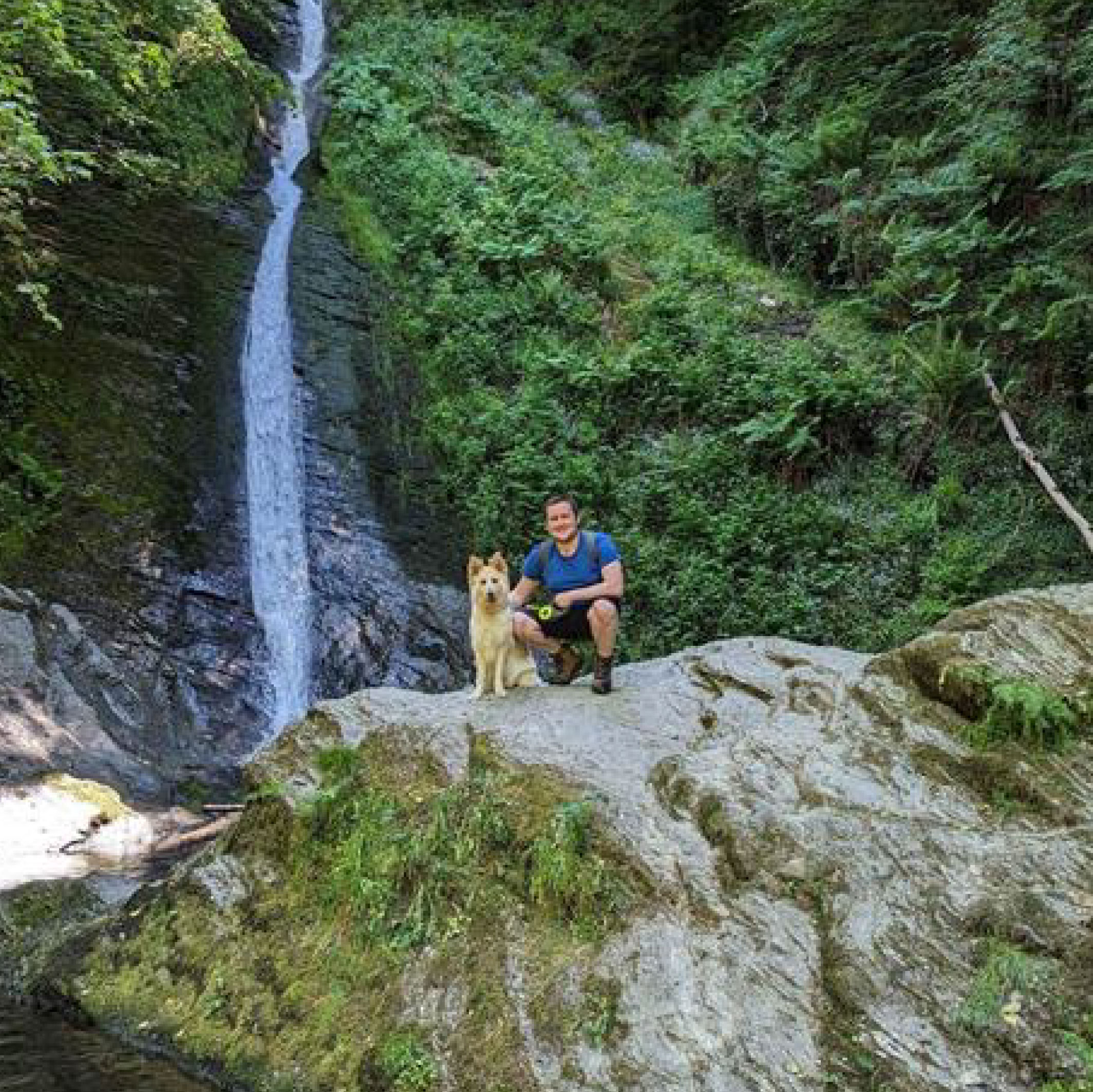 Tom Marsh - The Compliance People