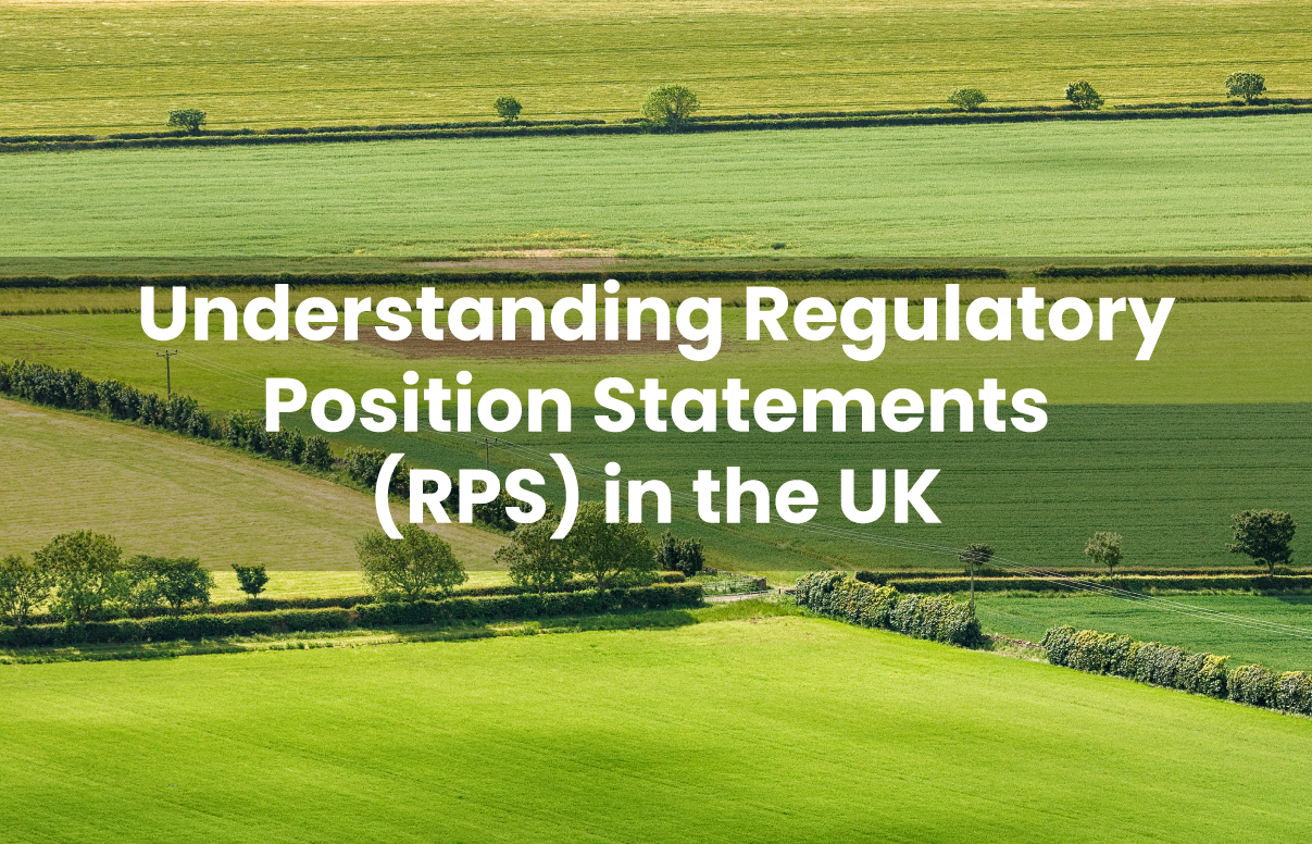 Understanding Regulatory Position Statements (RPS) in the UK - The ...